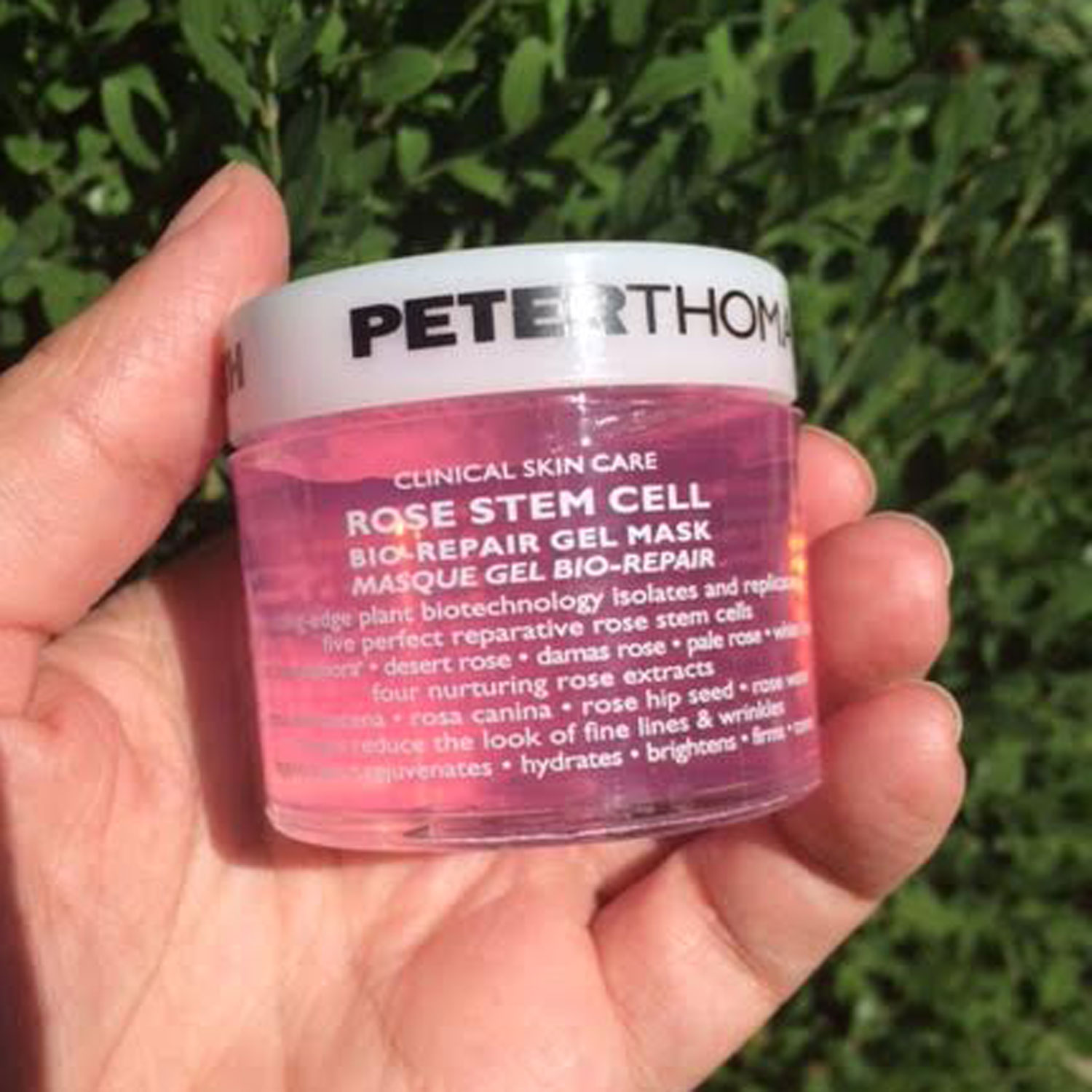 Peter Thomas Roth Rose Stem Cell Review – QUEEN OF THE GIRL GEEKS ...
