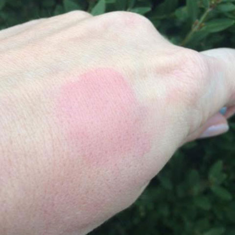 The Balm Stainiac Lip and Cheek Stain Review – QUEEN OF THE GIRL GEEKS ...