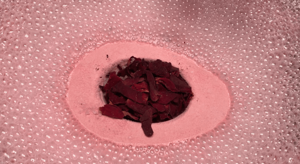 Lush Rose Bombshell Egg Demo & Review – QUEEN OF THE GIRL GEEKS ...